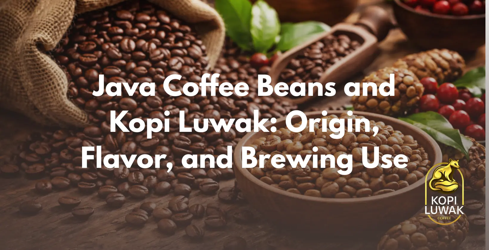 Java Coffee Beans and Kopi Luwak: Origin, Flavor, and Brewing Use ...